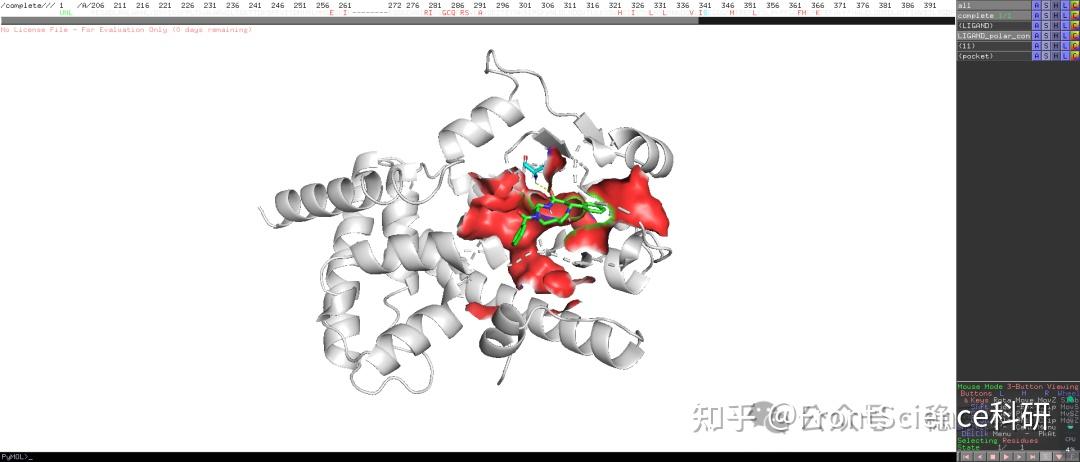 Prankweb预测蛋白活性口袋 分子对接 知乎 