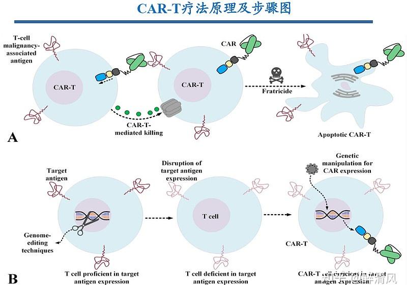 CAR-T行业概述 - 知乎