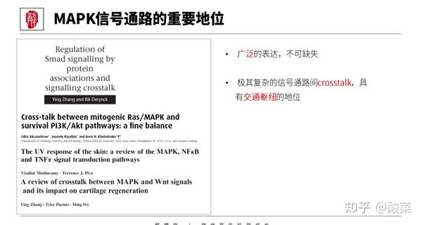 1条就是1篇SCI！带你研究12条信号通路，NF-κB、MAPK、AKT、PI3K…… - 知乎