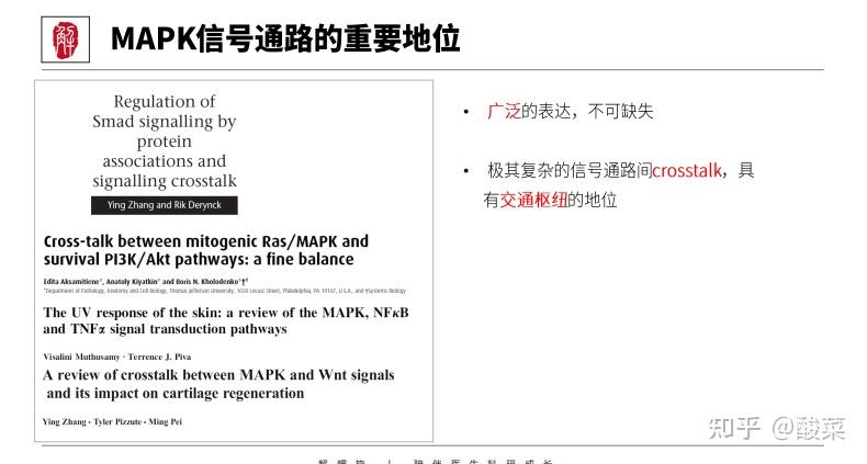 1条就是1篇SCI！带你研究12条信号通路，NF-κB、MAPK、AKT、PI3K…… - 知乎
