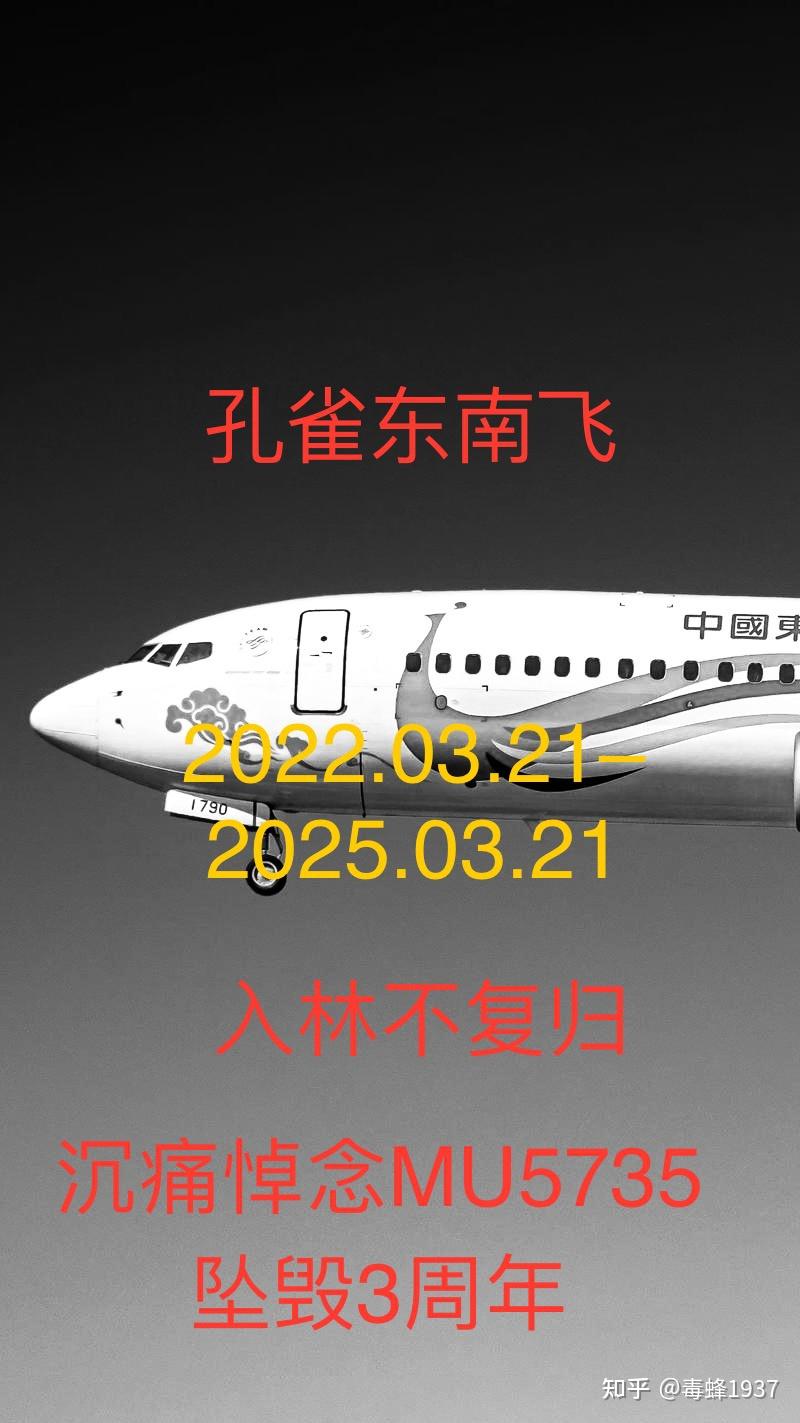 纪念东航飞机MU5735失事三周年 - 知乎