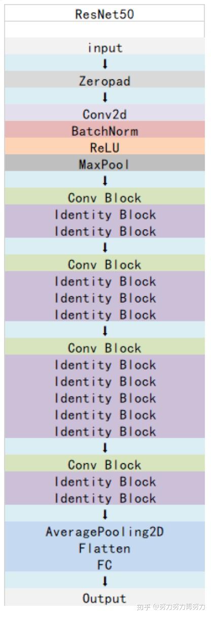 ResNet50复现笔记 - 知乎