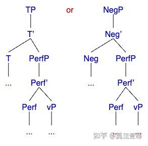 如何画句法学中各种成分的树状图及其对应框状图 - 知乎