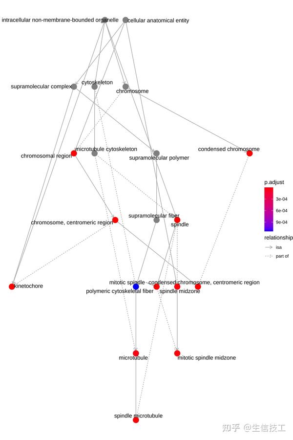 富集分析：（五）clusterProfiler：Visualization - 知乎