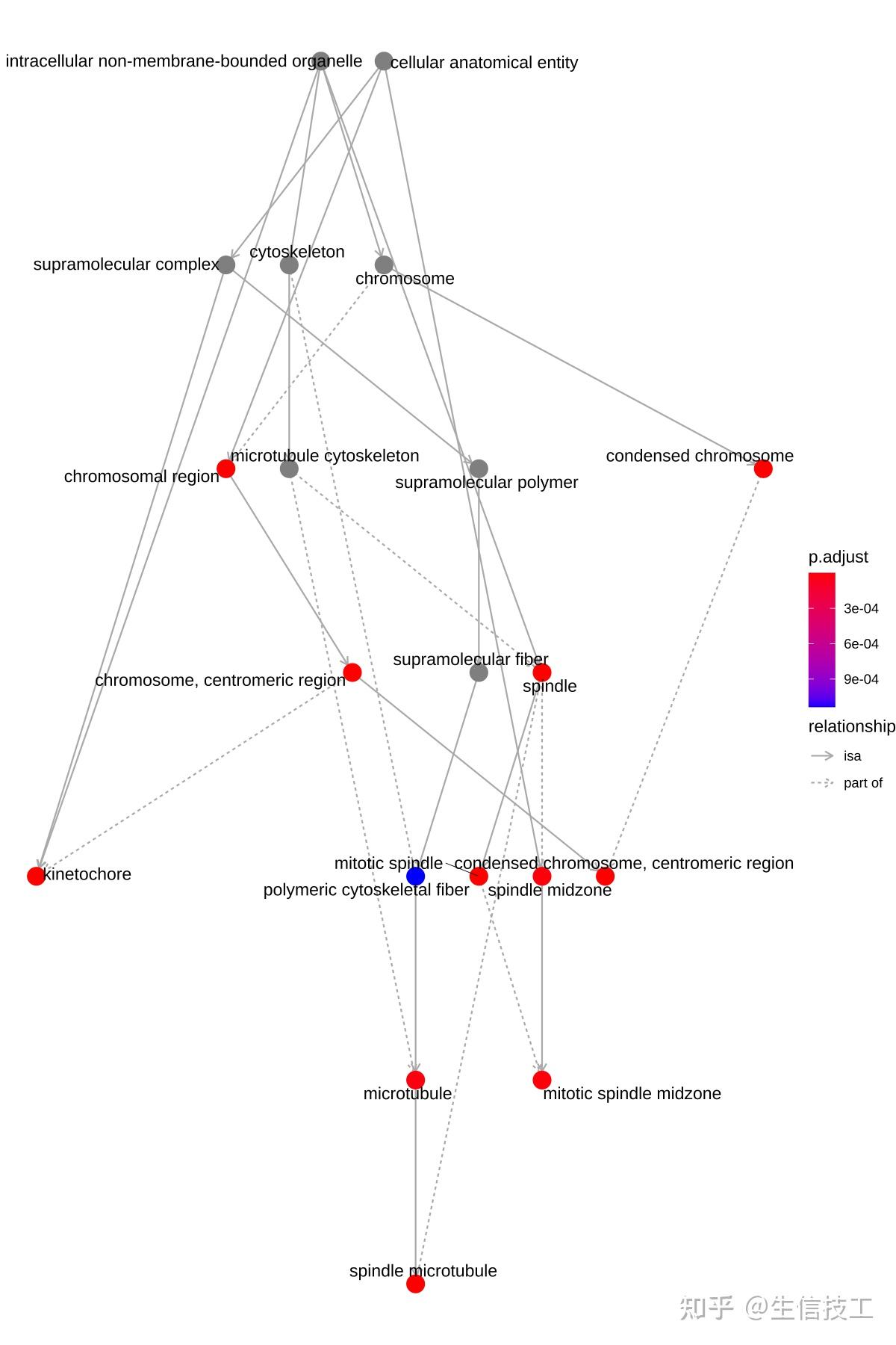 富集分析：（五）clusterProfiler：Visualization - 知乎