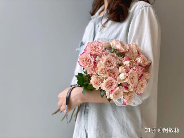 每天认识一种花 知乎