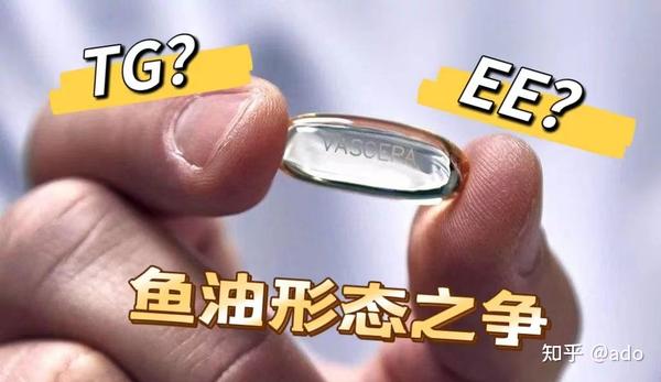 鱼油形态之争，EE和TG闹得不可开交，到底怎么说？ - 知乎