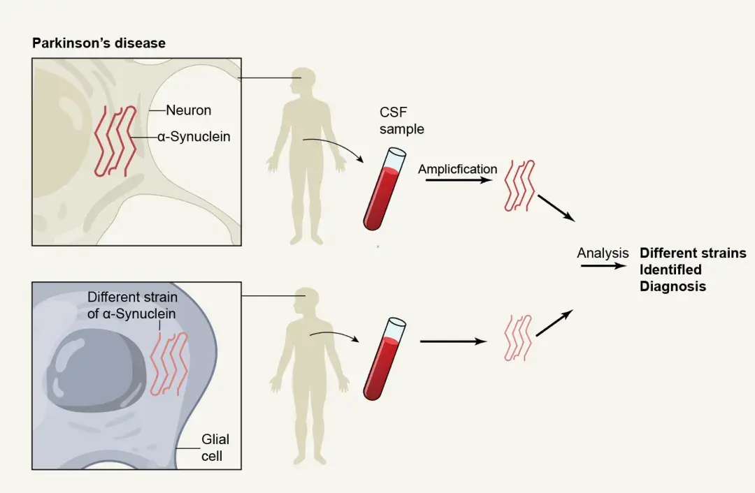 现在很多sci的期刊都需要Graphical Abstract，如何制作？ - 知乎