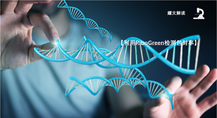 【耀文解读】利用RiboGreen检测包封率 - 知乎