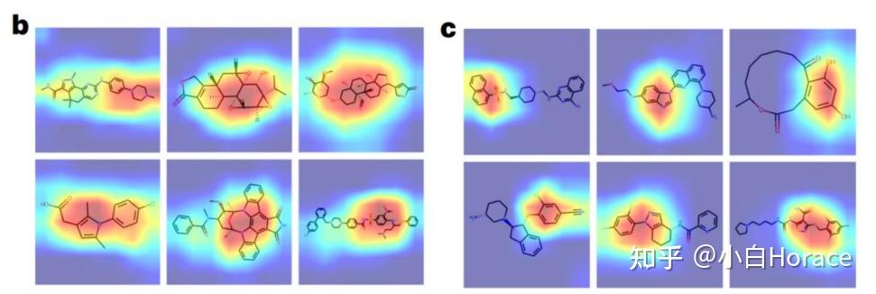 【AIDD系列】ImageMol论文精读 - 知乎