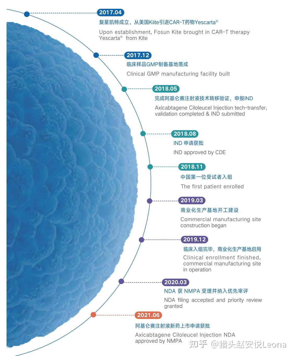 CAR-T：复星凯特 - 知乎