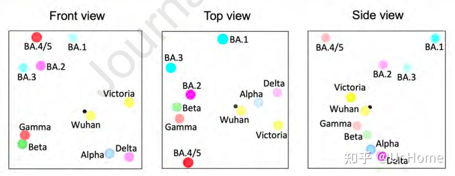 关于Omicron BA.5 - 知乎