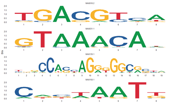 R可视化——ggseqlogo包绘制序列分析图 - 知乎