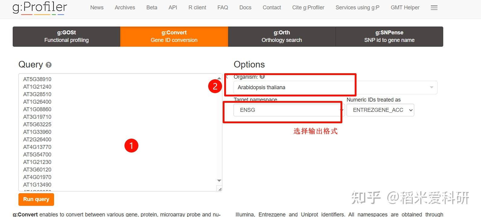 gProfiler-web版好用的基因组学工具 - 知乎