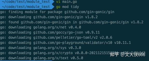 一图胜千言，golang Module【入门到精通】 - 知乎
