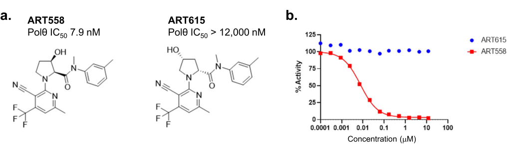 Polθ抑制剂在合成致死中的应用 - 知乎