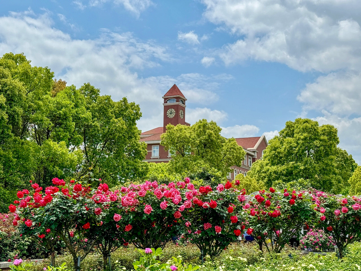 CUDA（四）：使用 CUDA 实现 Transformer 结构 - 知乎