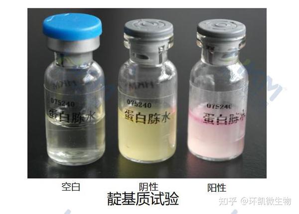 GB4789-6-2016 致泻大肠埃希氏菌检验及注意事项 - 知乎