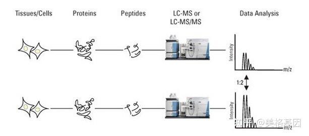 美格基因·新品上线｜叮～，请接收您的蛋白质组学上线信息！ - 知乎