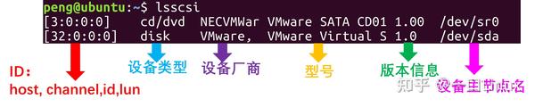 Linux命令lsscsi详解 - 知乎