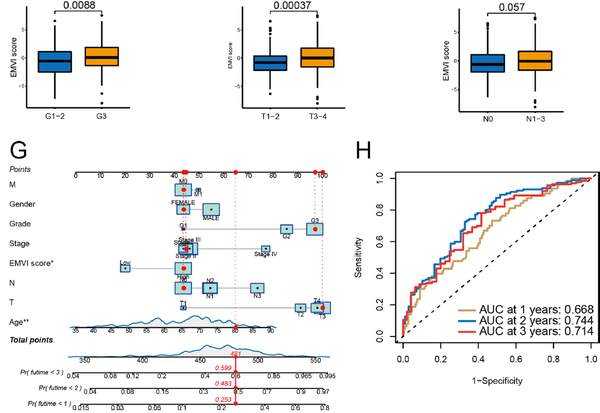 从临床问题切入，分析壁外血管侵犯(EMVI)和免疫相关基因！这篇8分+生信文章极具借鉴意义，还告诉你验证实验这么加更有价值~ - 知乎