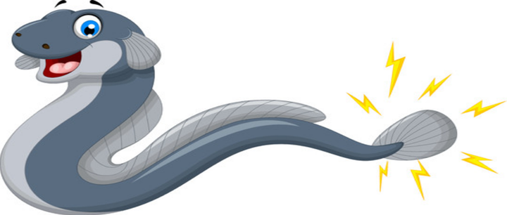 Ecorcher l'anguille par la queue【本末倒置】 - 知乎