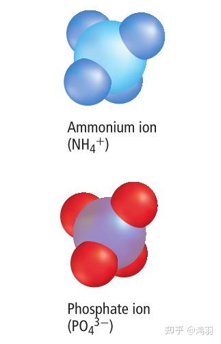 离子化合物的命名和化学式（化学式重复单位、单原子离子、氧化数、多原子离子、含氧阴离子）（十七） - 知乎