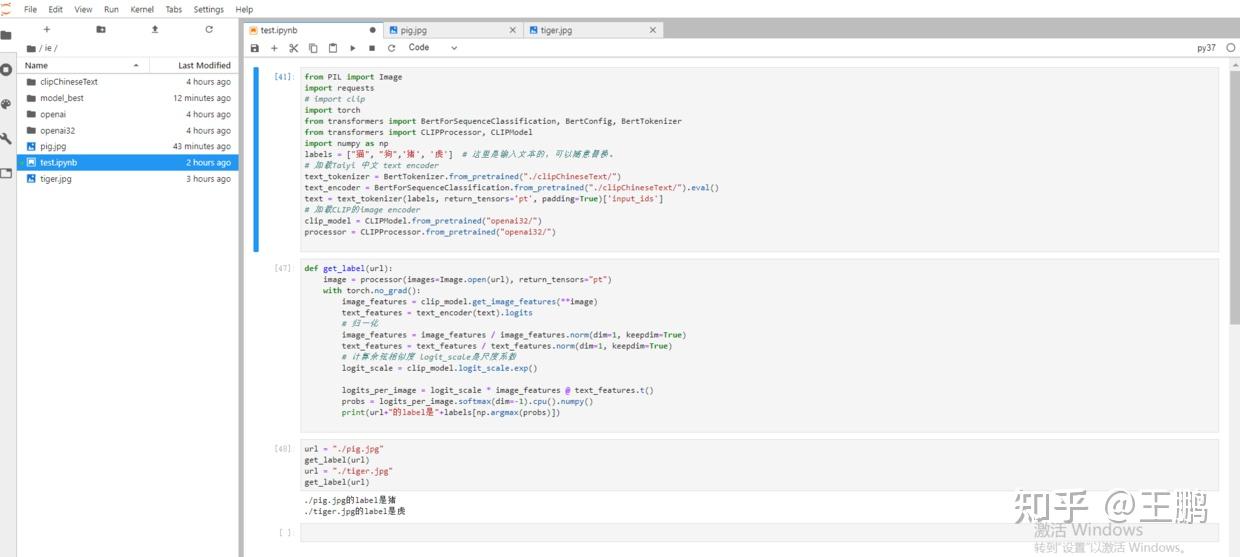 中文CLIP模型多模态实战——零样本图像分类 - 知乎