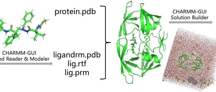 蛋白-配体小分子动力学模拟：完全使用CHARMM-GUI建模 - 知乎