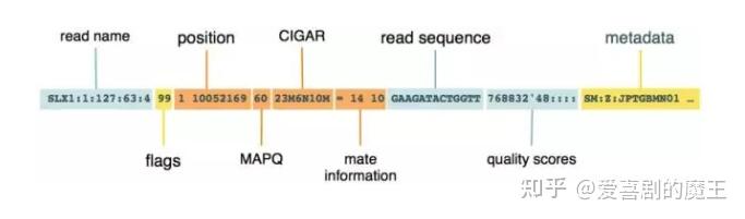 生物信息学入门——BAM文件的格式 - 知乎