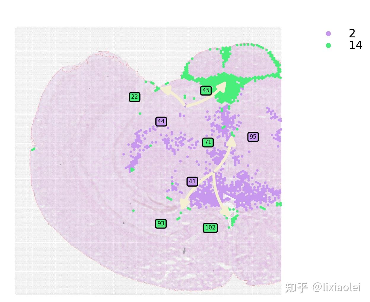 使用stLearn对百创S1000空间转录组数据做空间轨迹分析 - 知乎