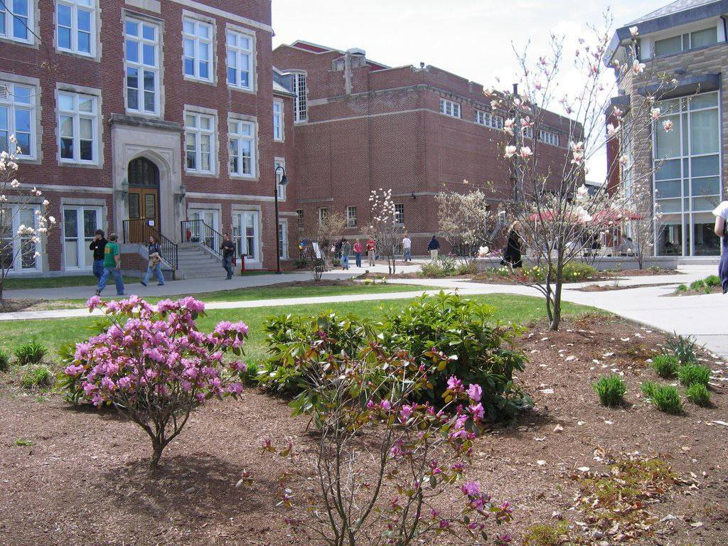 伍斯特理工学院各方面怎么样？ - 知乎