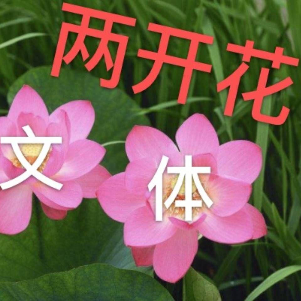 有哪些适合中年人用的头像 知乎