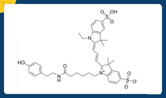 供应Sulfo-Cyanine3 Tyramide，Sulfo-Cy3 Tyramide，磺酸基-花青素Cy3 酪酰胺 - 知乎