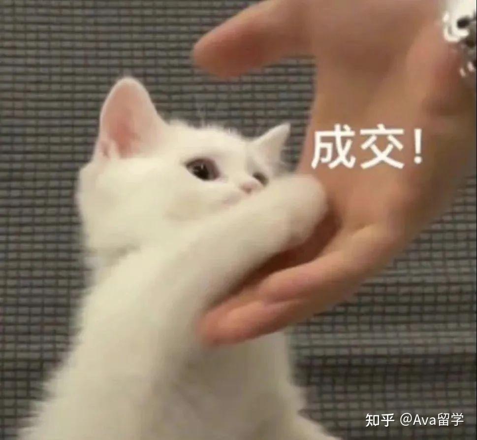 【新悦申】24fall走险！25fall走稳！人手一份的时间规划表放这啦~ - 知乎