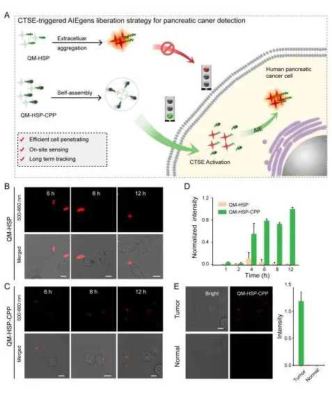 AIE多吡啶萘酰亚胺荧光树形分子/AIE喹啉腈(QM)染料衍生物QM-OH的研究 - 知乎