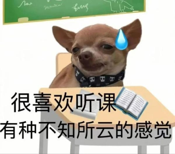 关于学习的表情包 - 知乎
