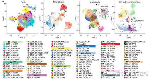 登顶Nature！单细胞测序揭示肝癌免疫治疗新靶点 - 知乎