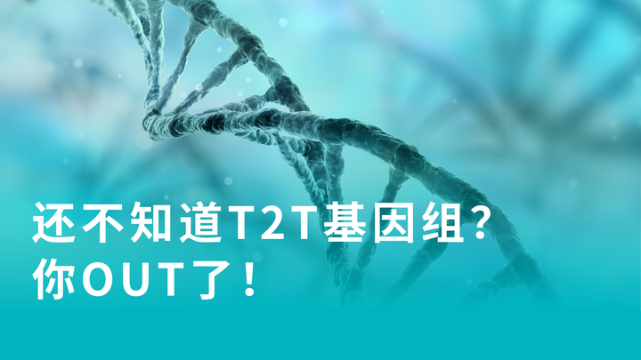 还不知道T2T基因组？你OUT了！ - 知乎