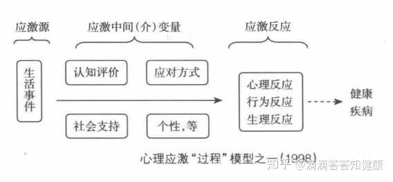 过大的压力会使人体产生哪些变化？ 探讨应激的机制 知乎eoi 0099