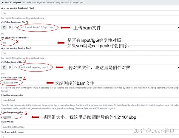 生信小白学生信——ChIP-seq和CUT&Tag数据分析 - 知乎