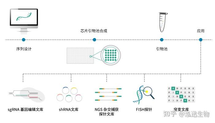 沉浸式Oligo Pools快速问答！ - 知乎