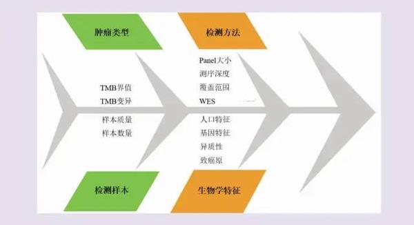 DNA 13. SCI 文章肿瘤突变负荷计算方法（TMB） - 知乎