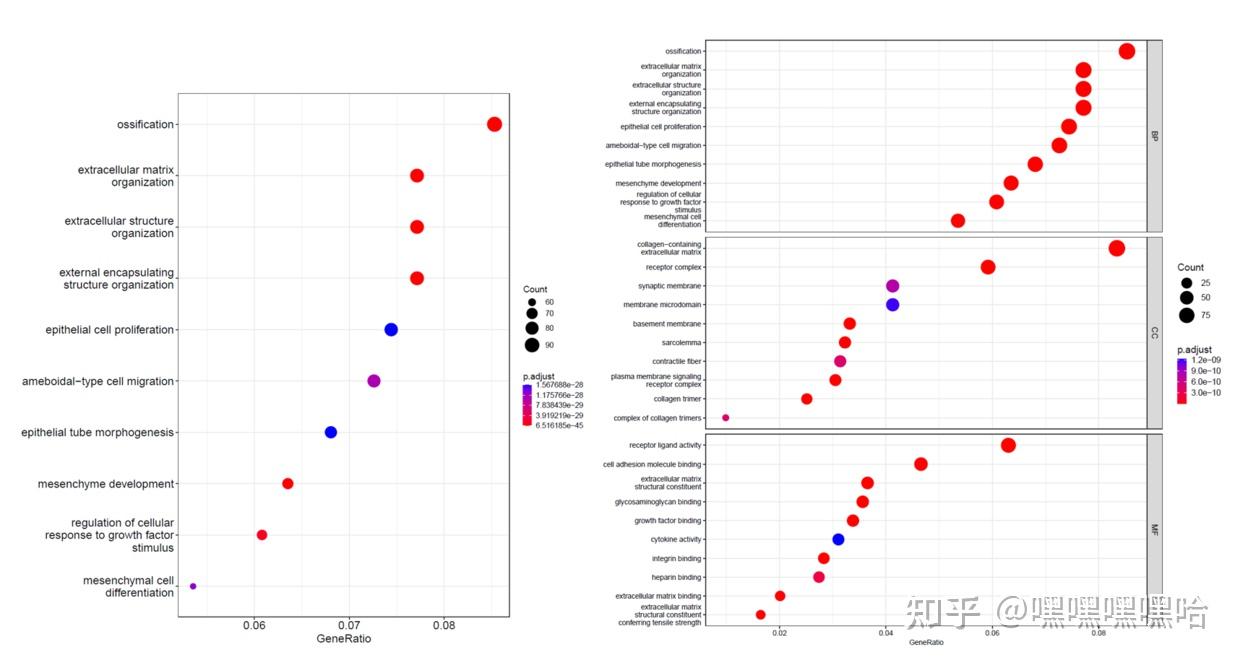 RNA-seq入门实战（六）：GO、KEGG富集分析与enrichplot超全可视化攻略 - 知乎
