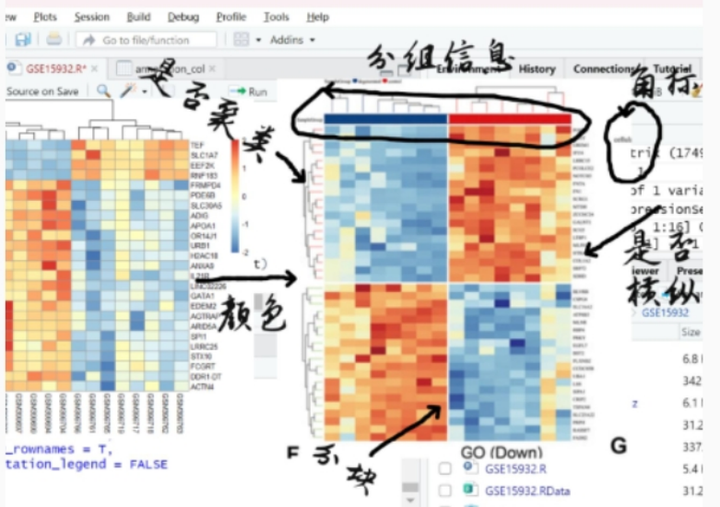 R语言热图美化pheatmap包（免费获取代码） - 知乎