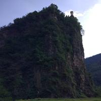 两步孟德尔随机化(two step MR)研究简介 - 知乎