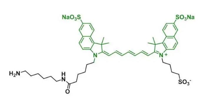 disulfo-ICG-NH2，二磺酸吲哚菁绿氨基，能够实现对目标分子的标记和追踪 - 知乎