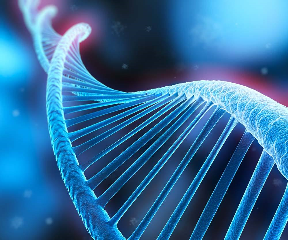 Nature Genetics | DNA变异和甲基化之间的关系 - 知乎