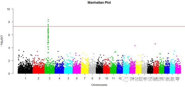 利用GWAS数据绘制曼哈顿图 - 知乎