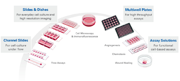 ibidi满足您各种细胞培养/成像需求：多种专有表面可供您选择 - 知乎